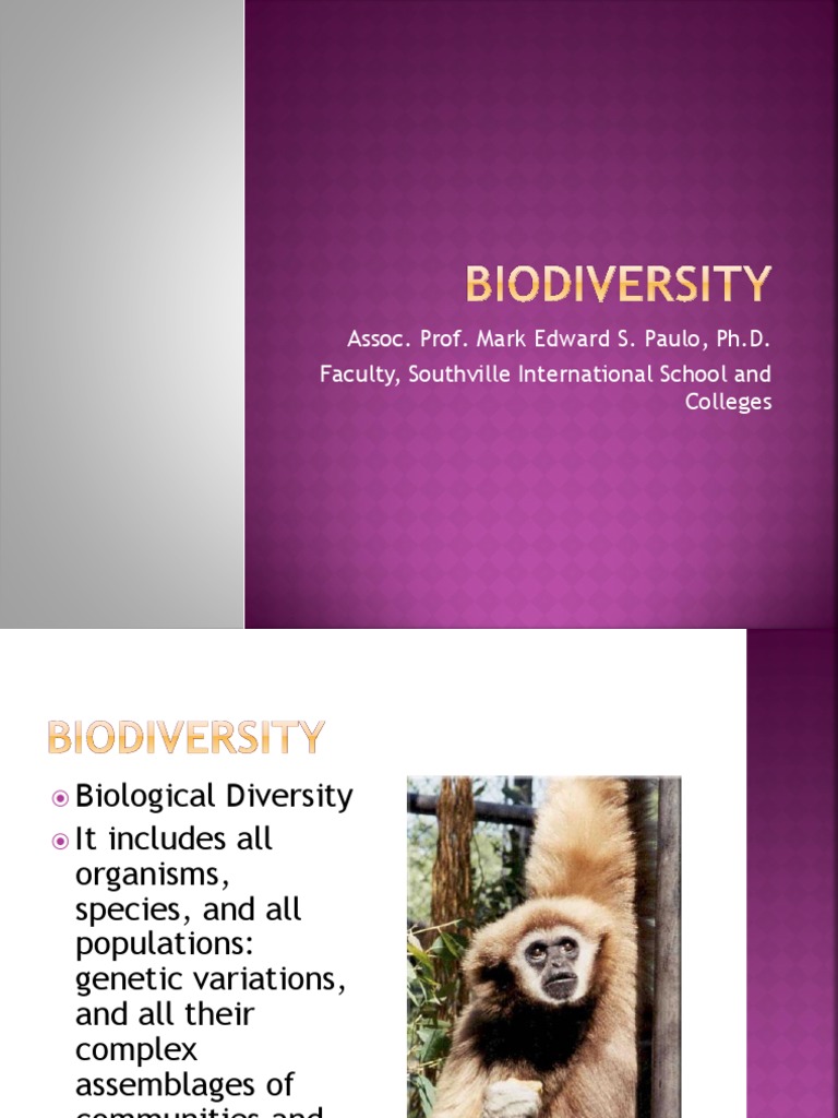 Assoc. Prof. Mark Edward S. Paulo, Ph.D. Faculty, Southville ...