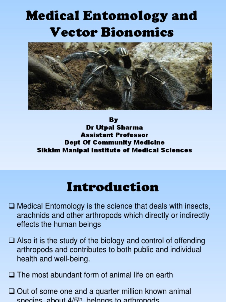 Medical Entomology and Vector Bionomics | PDF | Mosquito | Insects
