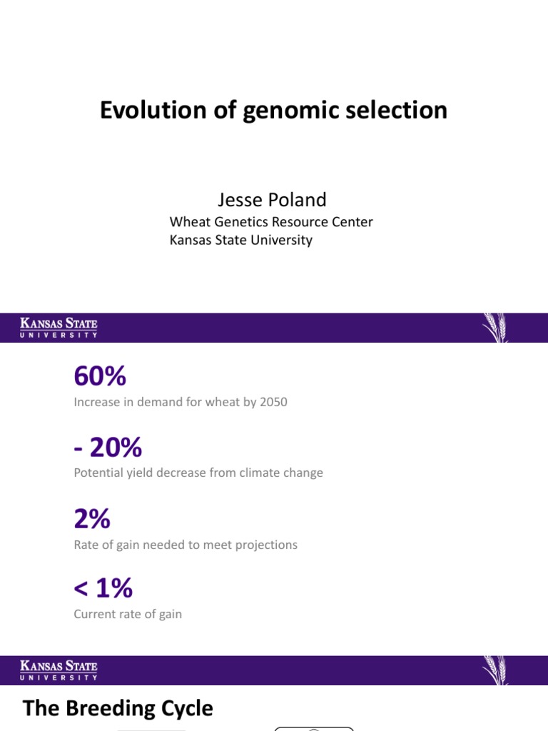 Genomic Selection | PDF | Plant Breeding | Wheat