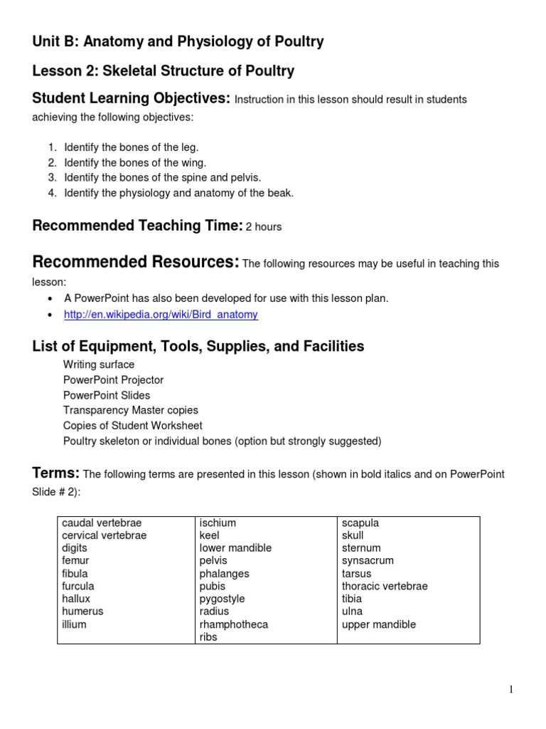 Skeleton of Chicken | PDF | Vertebral Column | Thorax