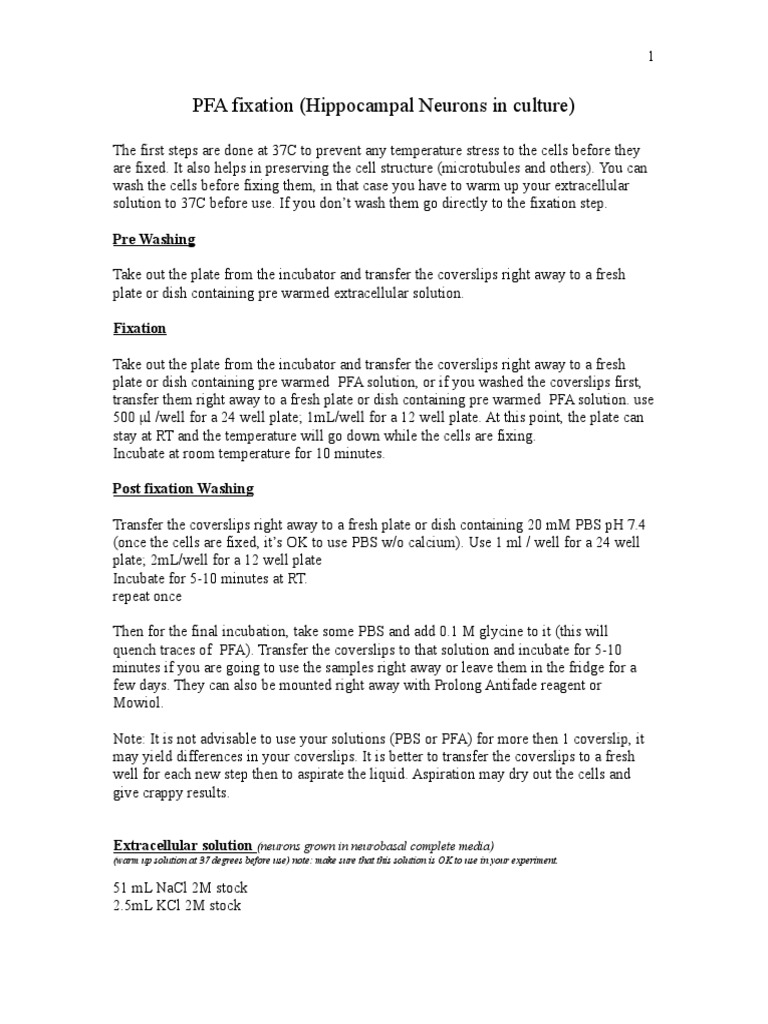 PFA Fixation of Hippocampal Neurons in Culture | PDF | Fixation ...