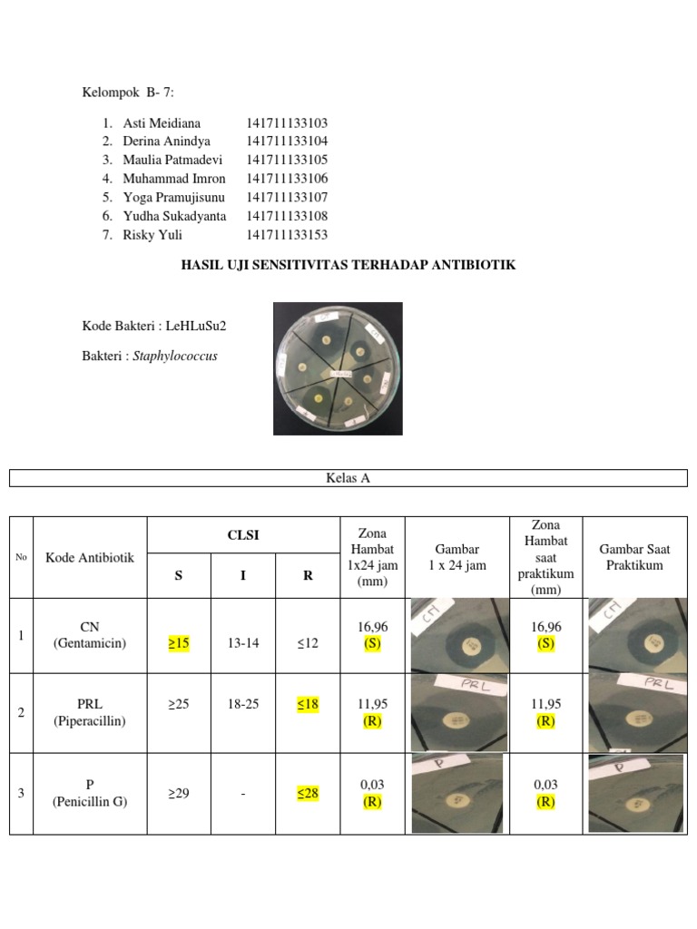 Uji Sensitivitas Antibiotik 7b | PDF | Antibiotics | Drugs