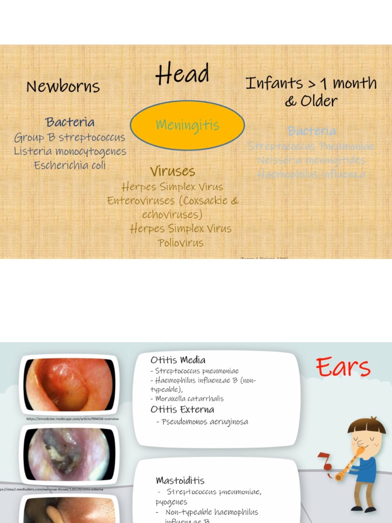 Quick Abx Review | PDF