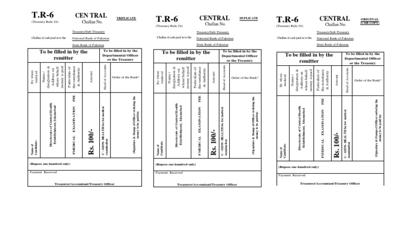 CE 2019 Medical Challan PDF | PDF | Rupee | Services (Economics)