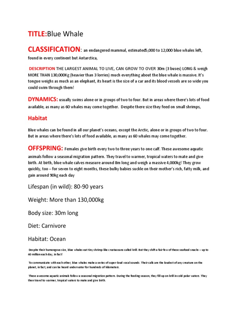 Blue Whale: Title: Classification | PDF | Whales | Mammals