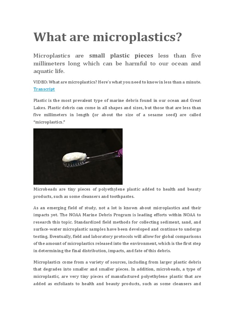 Understanding Microplastics | PDF | Environmental Issues | Natural Environment