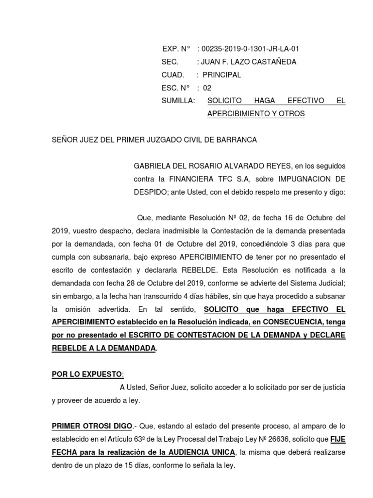 Solicitud De Efectivizacion De Apercibimiento En Materia Laboral Pdf