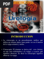 C I Cistoscopia Cateterismo Ureteral y Pielografia Retrograda | PDF ...