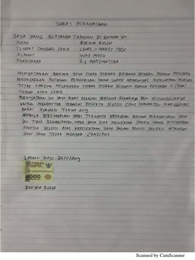 Pernyataan Rolin | PDF