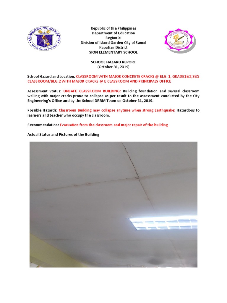 Earthquake Damage Report | PDF