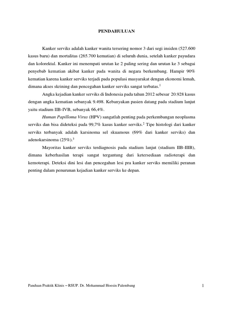 Edit PPK Ca Cervix | PDF