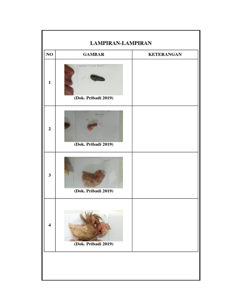 Lampiran-Lampiran: NO Gambar Keterangan | PDF