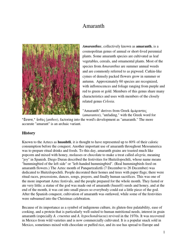 Amaranth: Amaranthus, Collectively Known As Amaranth, Is A | PDF ...