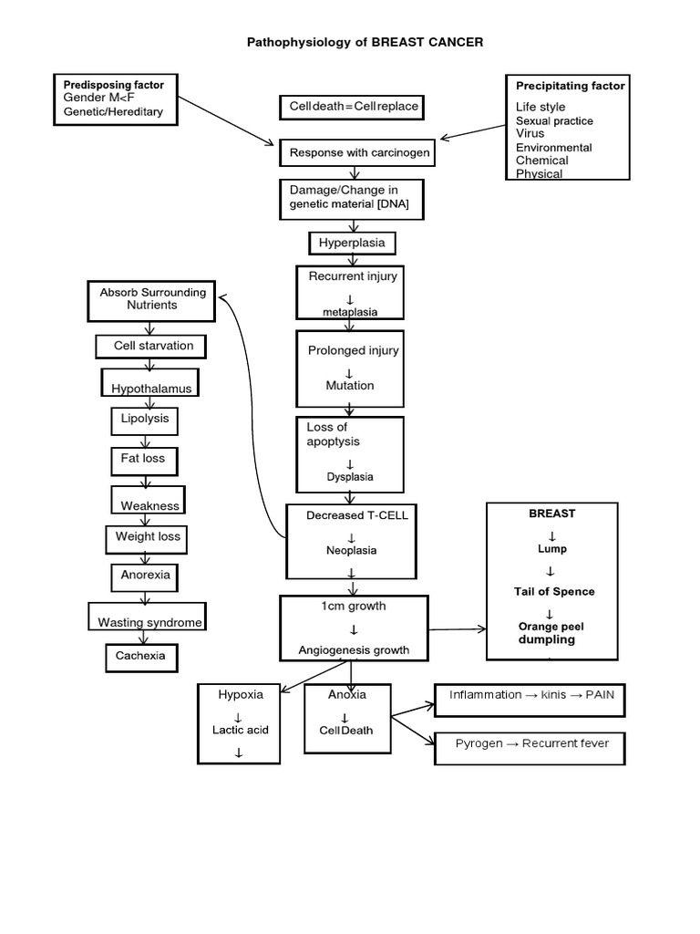 Group 3 Pathophysiology-of-BREAST-CANCER | PDF | Wellness | Medical