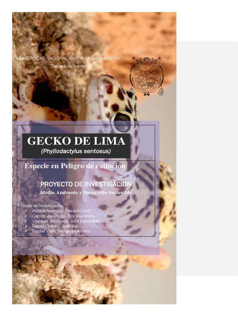 Proyecto - Gecko de Lima - REV DANH | PDF | Extinción | Especie en peligro