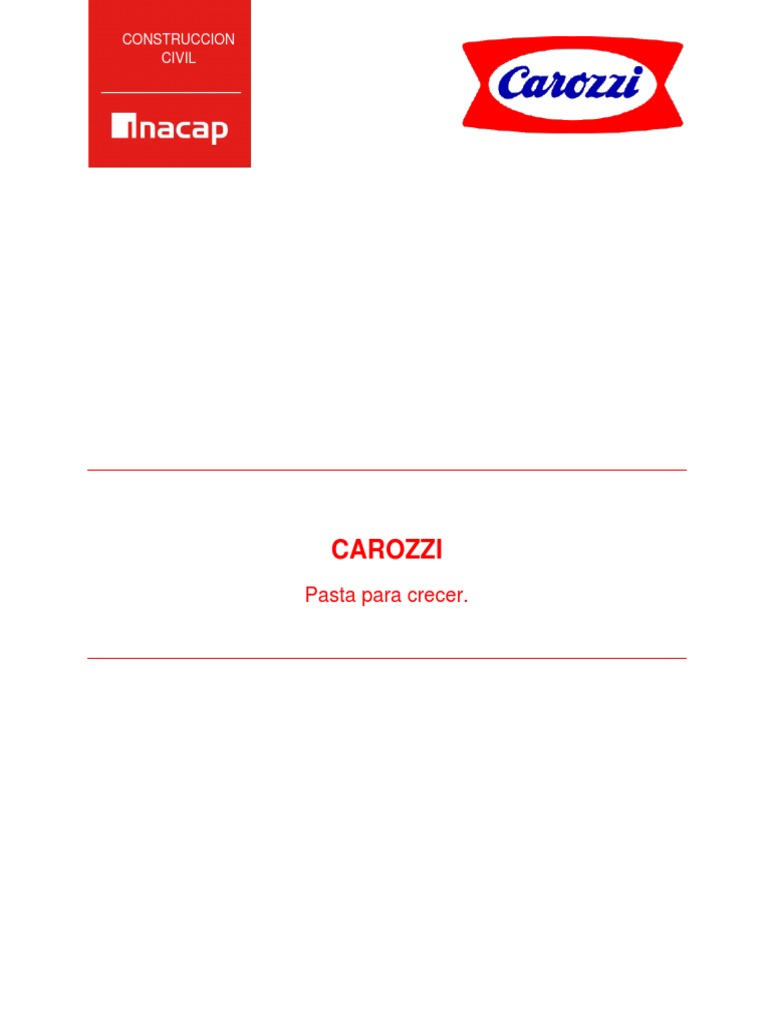 La historia y evolución de Carozzi, una empresa líder en la industria ...