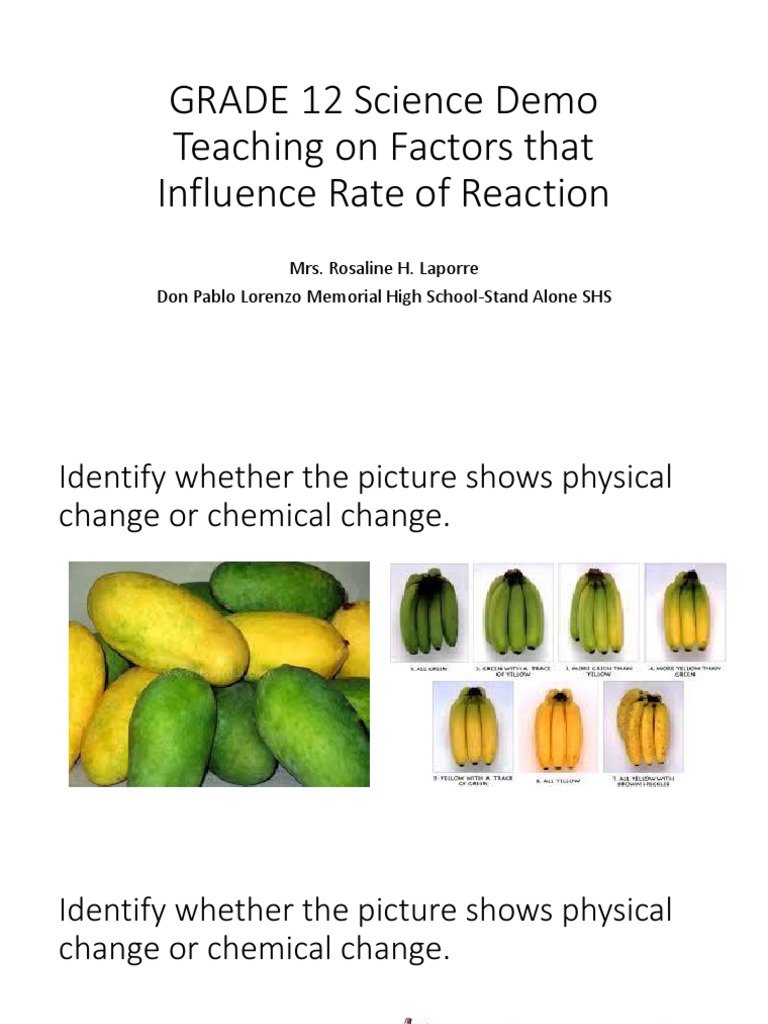 Factors Influencing Reaction Rates in Chemistry | PDF | Reaction Rate ...