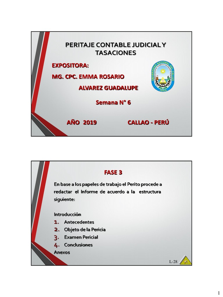 Peritaje Fases | PDF