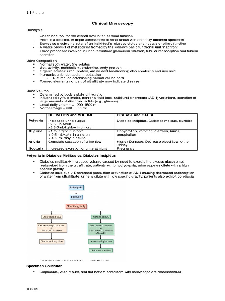 Clinical Microscopy: Definition and Volume Disease and Cause Polyuria ...