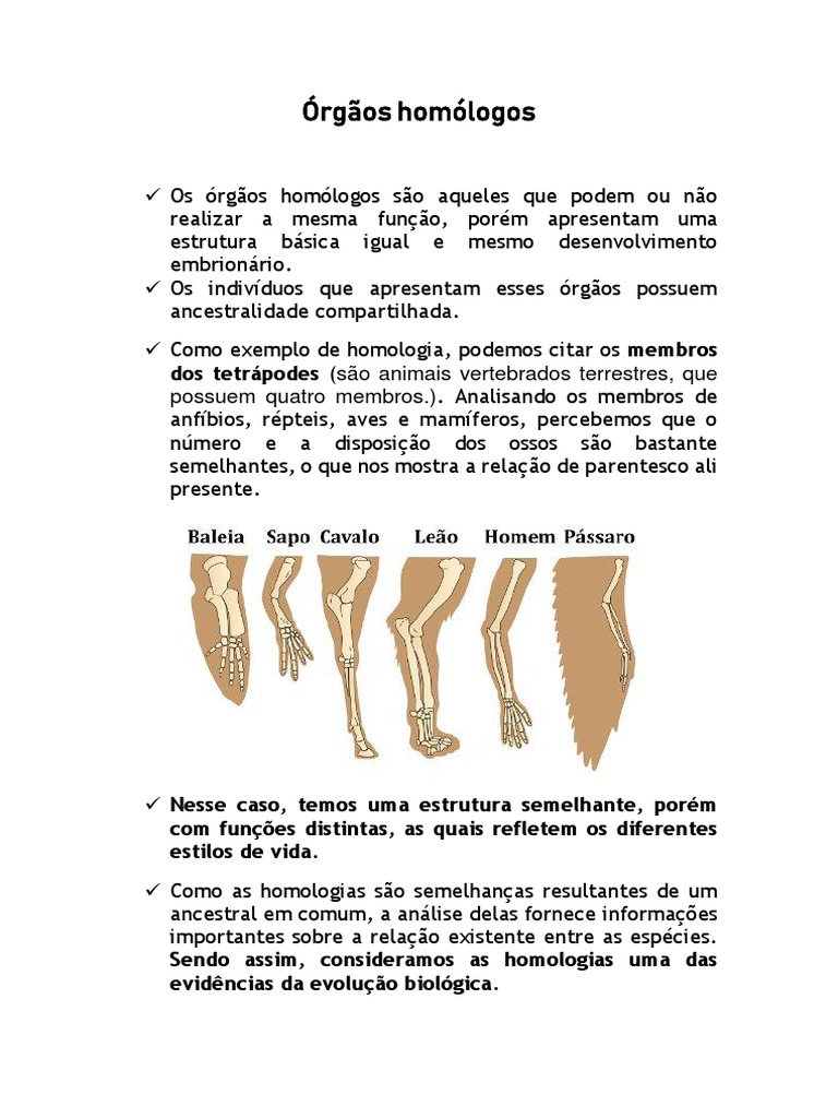 Órgãos homólogos: dos tetrápodes (são animais vertebrados terrestres ...