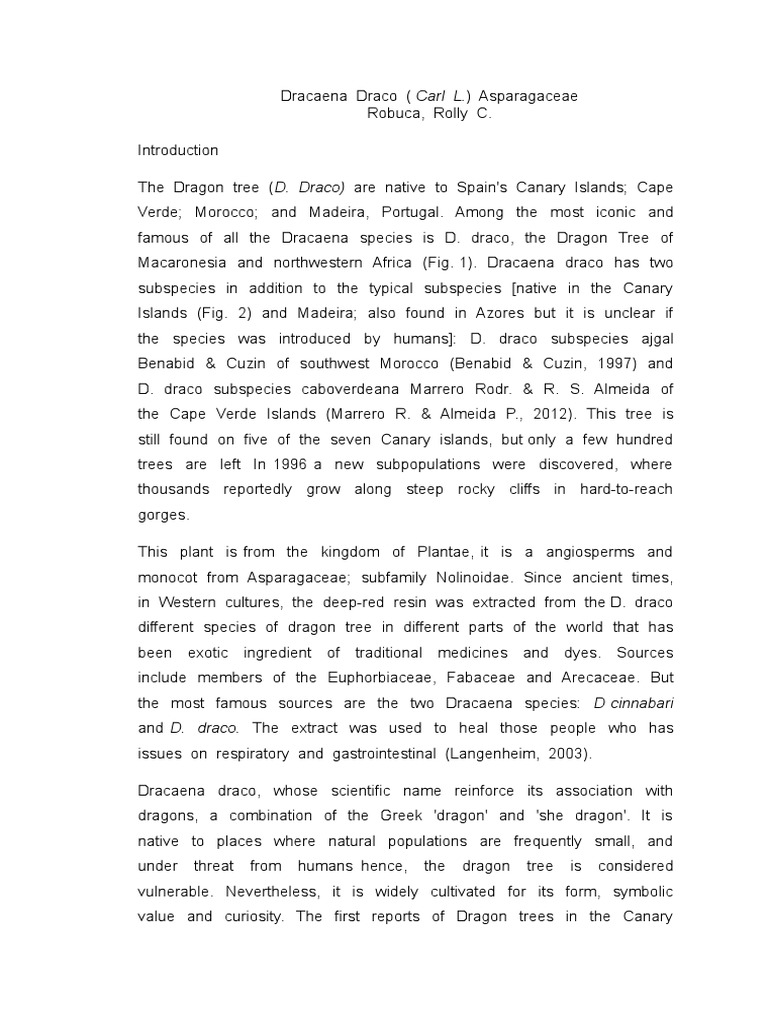 Overview of Dracaena Draco Species | PDF | Social Science | Science ...