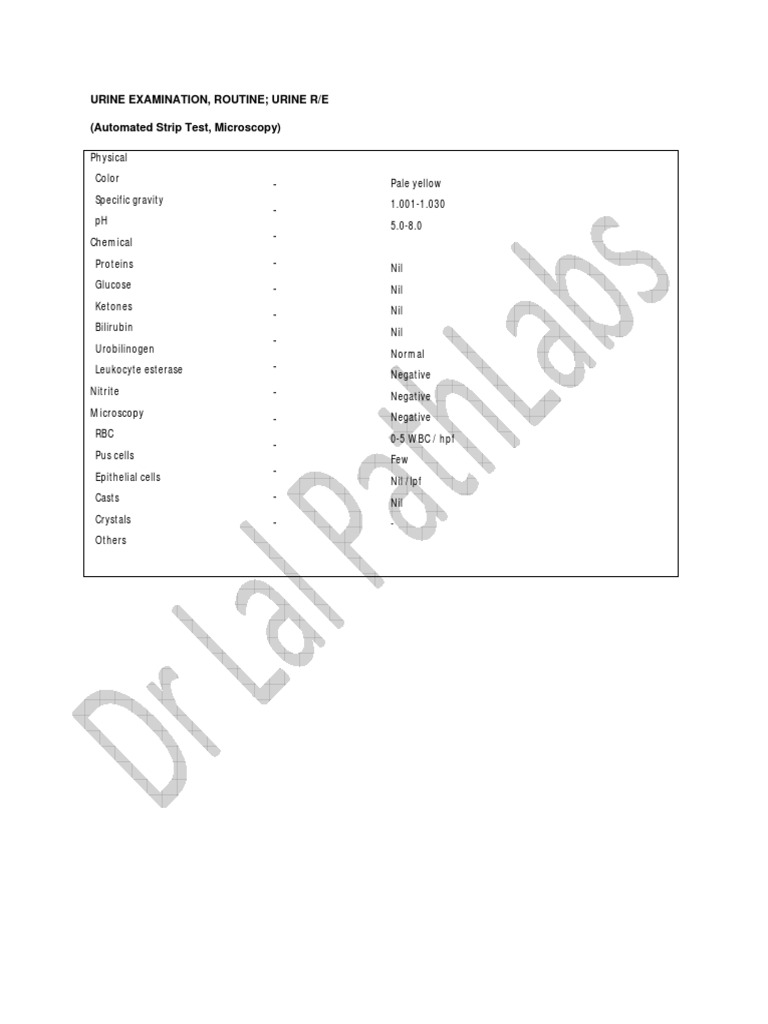 Urine Examination, Routine Urine R/E (Automated Strip Test, Microscopy ...