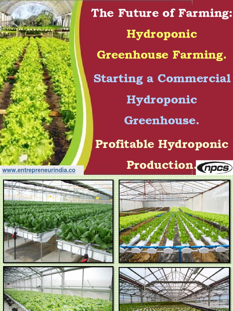 Profitable Hydroponic Greenhouse Guide | PDF | Hydroponics | Equity ...