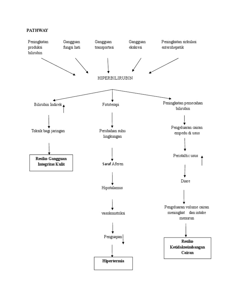 Pathway Hiperbilirubin | PDF