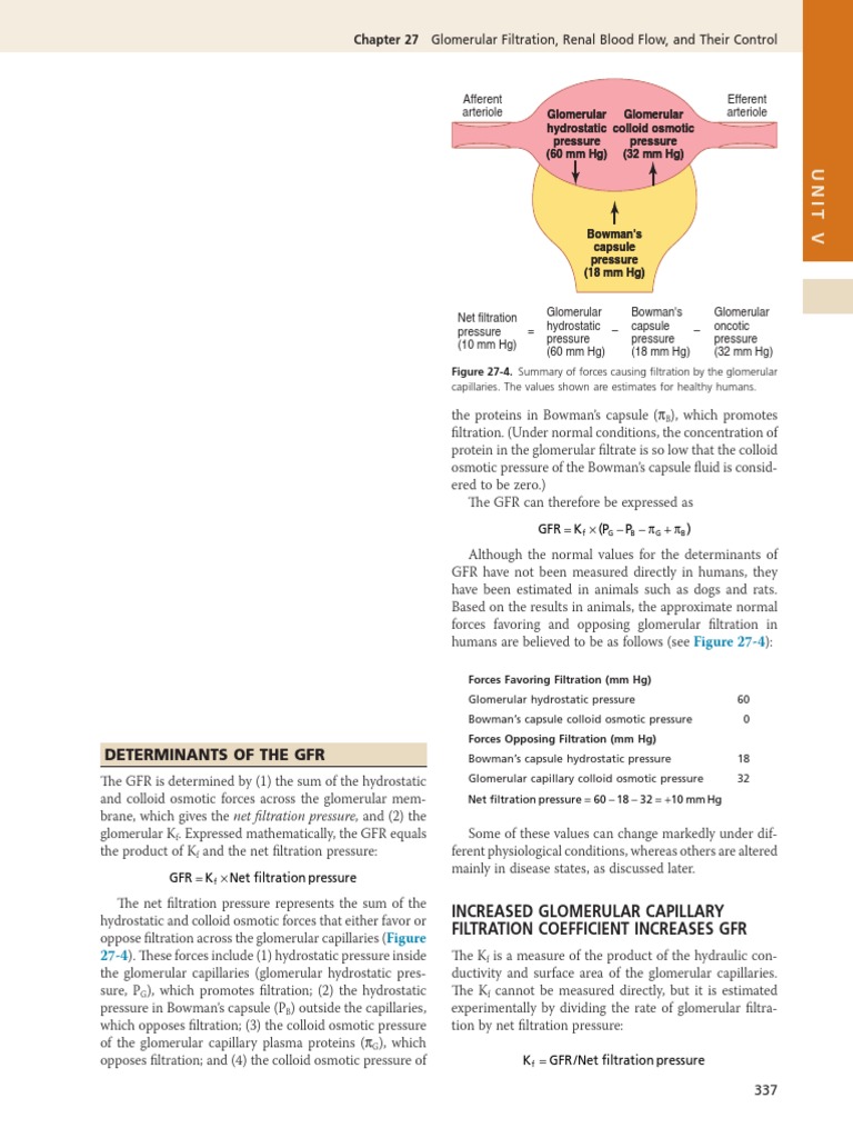 Determinants of The GFR | PDF | Renal Function | Kidney