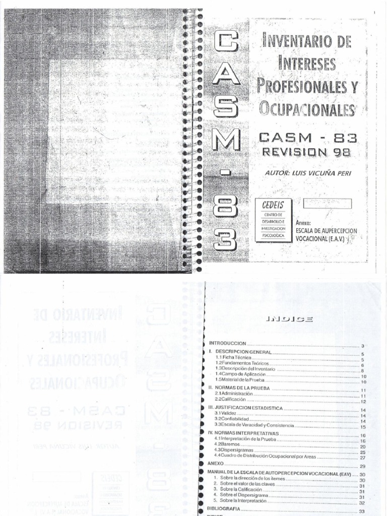 Casm 83 - Manual | PDF