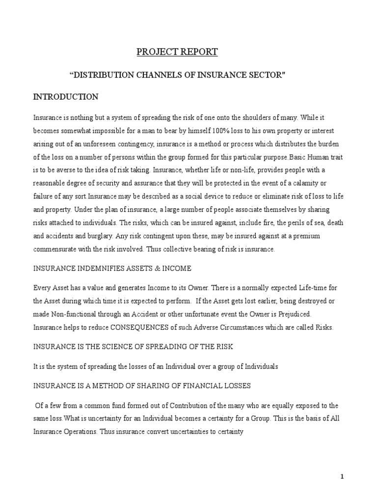 Distribution On Insurance Sector | PDF | Insurance | Risk