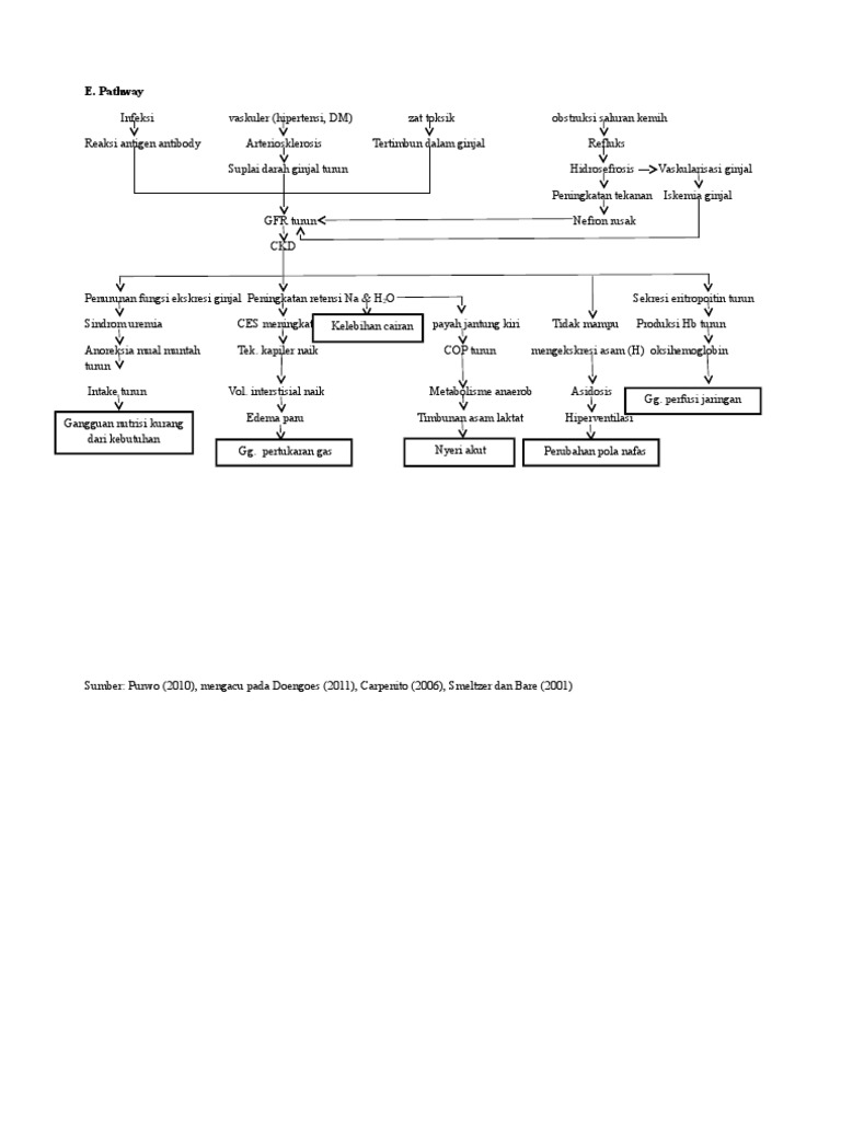 Pathway CKD Baru | PDF