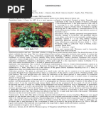 10 Herbal Plants (Halamang Gamot) Approved by The DOH.: Name (Tagalog ...