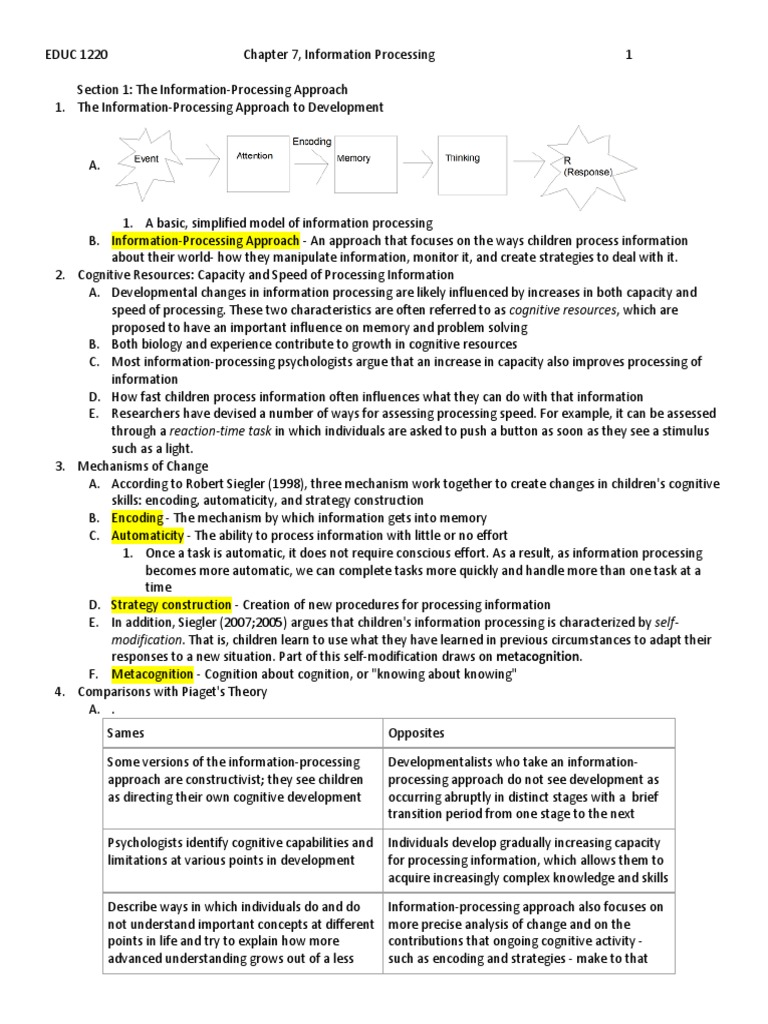 Chapter 7 Information Processing | PDF | Memory | Attention