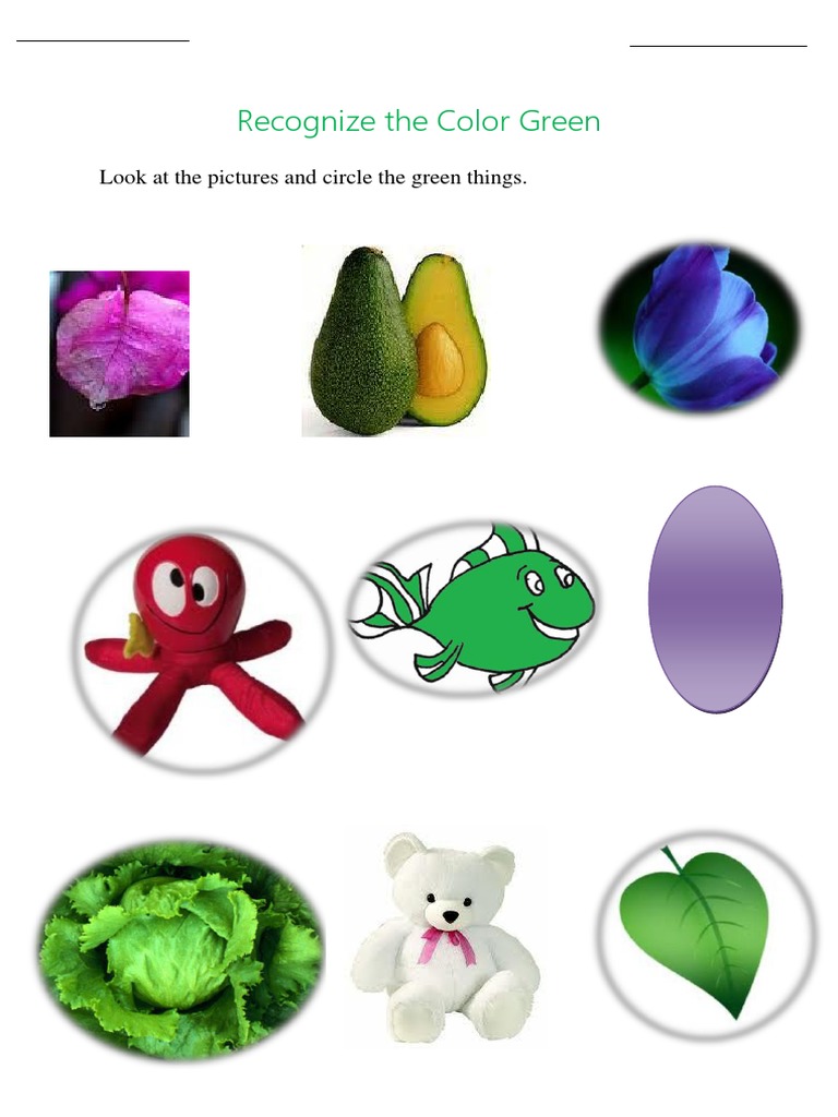 Recognize The Color Green: Look at The Pictures and Circle The Green ...