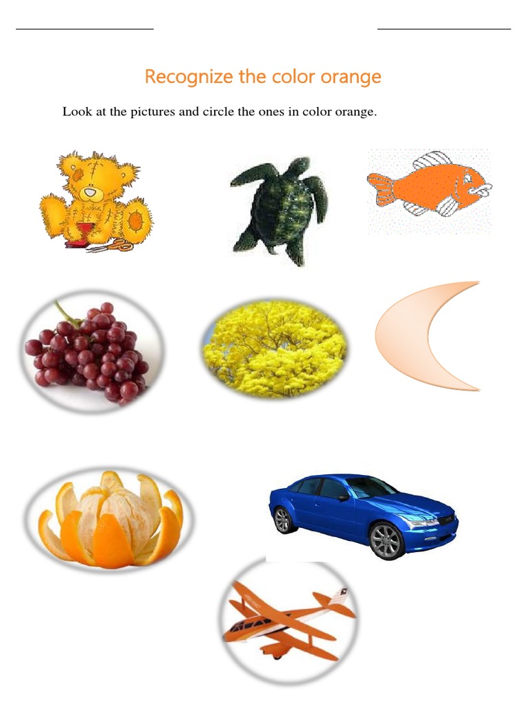 Look at The Pictures and Circle The Ones in Color Orange | PDF