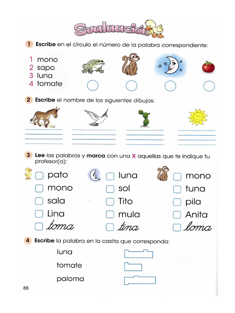 Patito Lee Evaluaciones | PDF