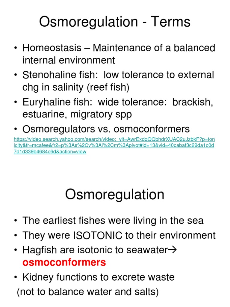 Osmoregulation | PDF | Biology | Chemistry