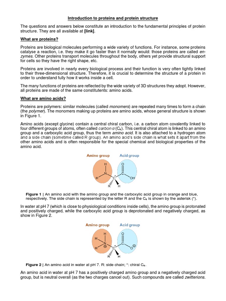 Protein Structure Pdf Amino Acid Alpha Helix