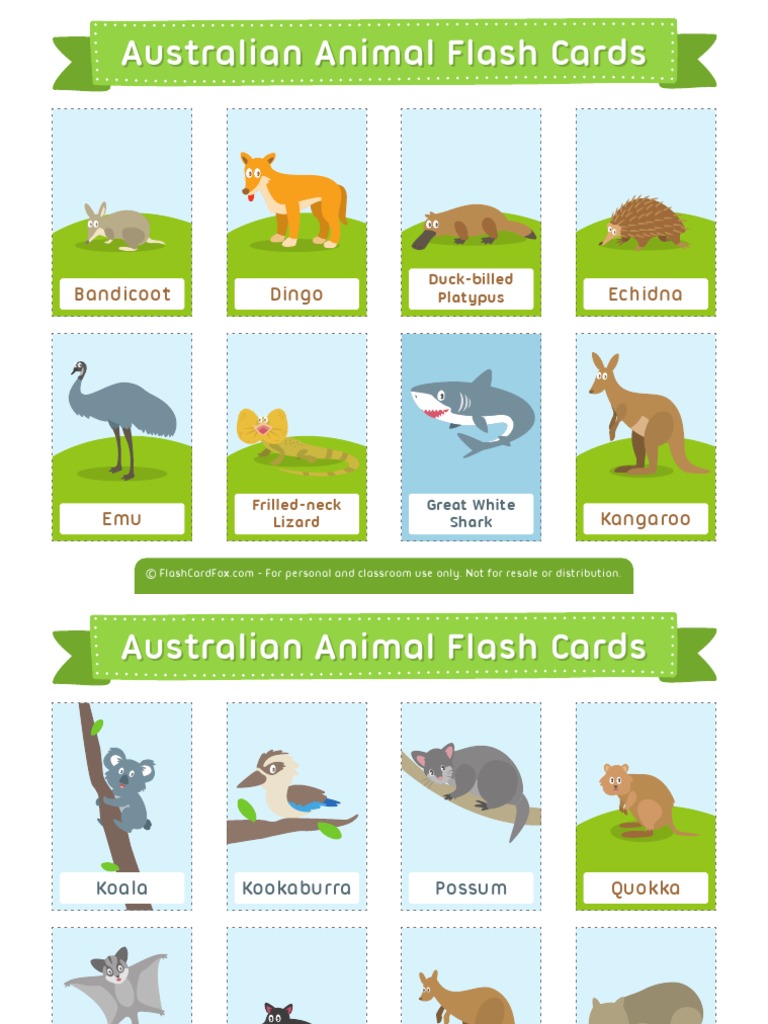 Australian Animal Flash Cards 2x3 PDF | PDF