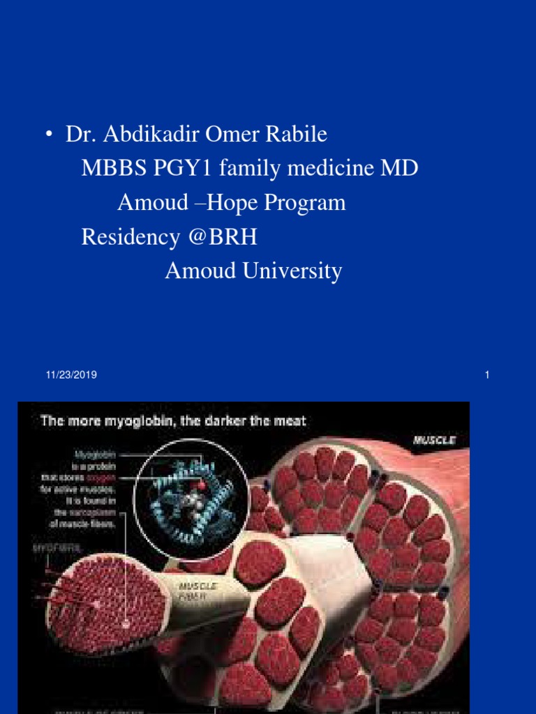 Muscle Histology | PDF | Skeletal Muscle | Myocyte