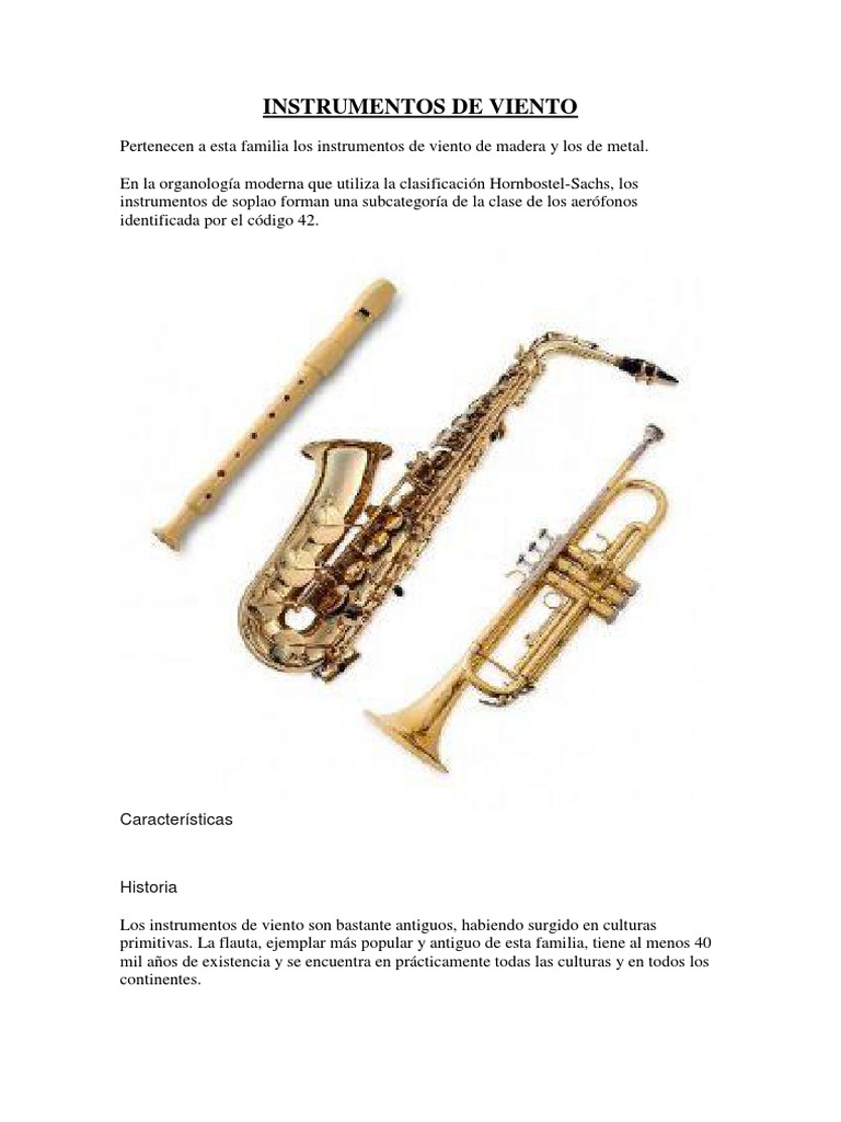 Instrumentos de Viento | PDF | Instrumentos musicales | Flauta