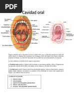 Anatomía de La Arcada Superior e Inferior de Un Paciente Edéntulo | PDF ...