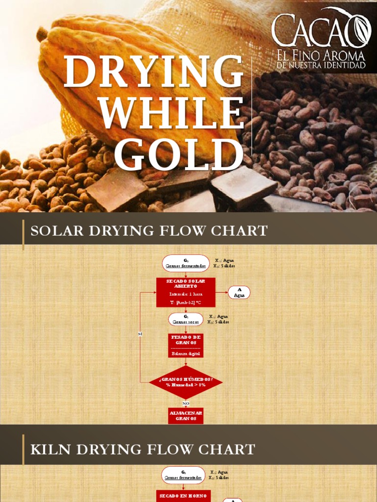 Drying While Gold | PDF | Humidity | Chocolate