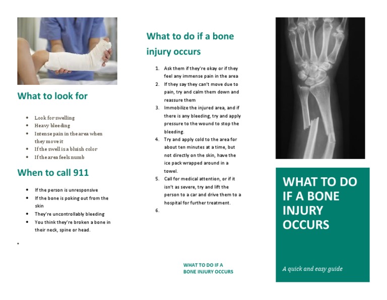 Brochure Pe 2019 | PDF