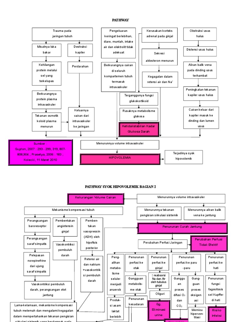 Pathway Syok Hipovolemia | PDF