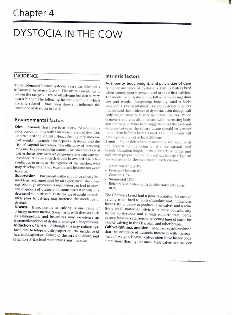 Distokia in The Cow | PDF