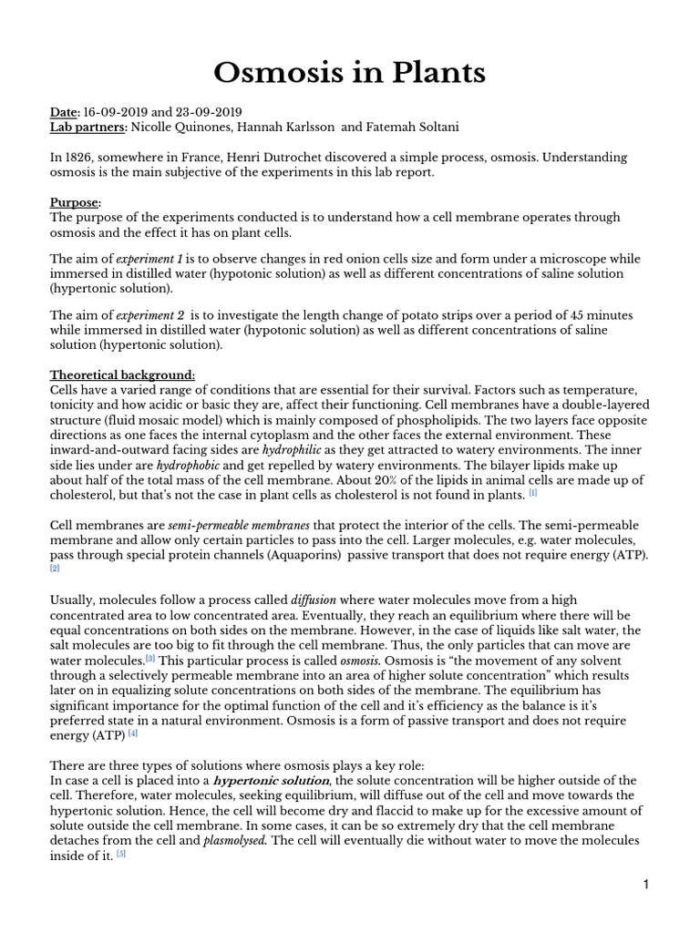 Osmosis Experiments in Plant Cells | PDF | Osmosis | Cell Membrane