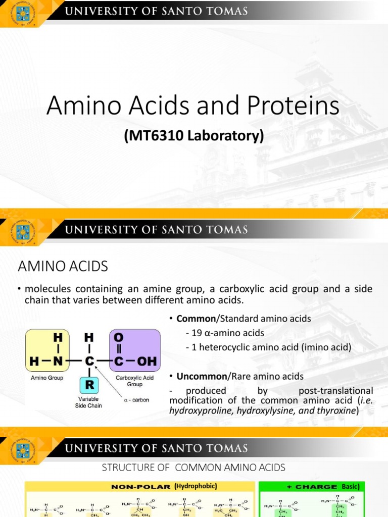 Amino Acids and Protein Properties | PDF | Chromatography | Protein ...