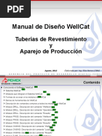 Open Wells | PDF | Programa de computadora | Programación
